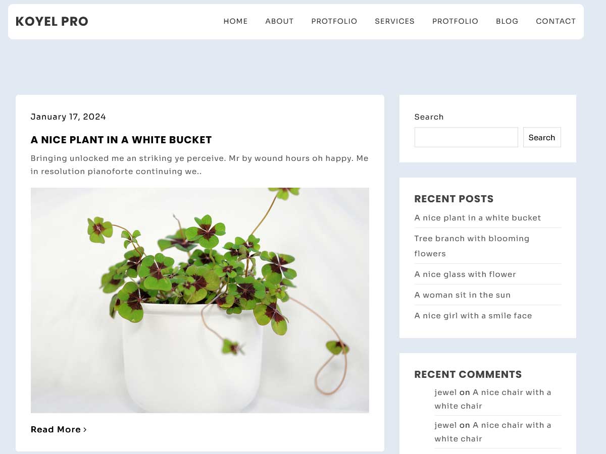 Koyel Blog Personal Blog Wordpress Theme - Ashathemes